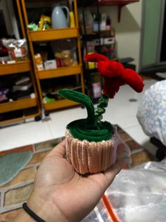 Iffah little flower’s Profile Page on Carousell | All of Iffah little ...