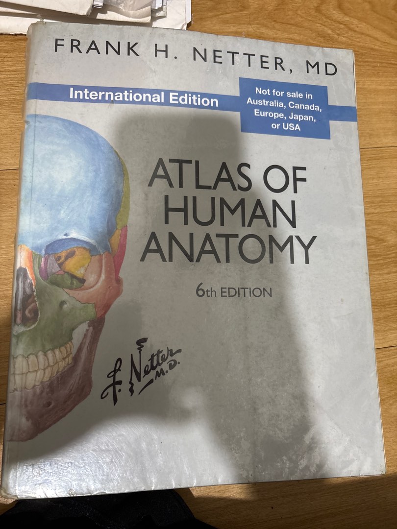 Frank H. Netter Atlas of Human Anatomy 6th Edition, Hobbies & Toys ...