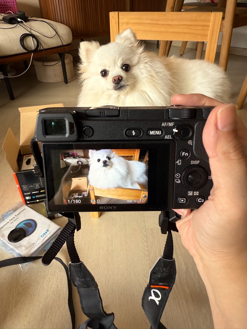 Sony Alpha a6300 Mirrorless Camera Kit, Photography, Cameras on Carousell