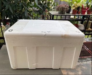 Styrofoam box For Sale | Home Improvement & Organisation | Carousell ...