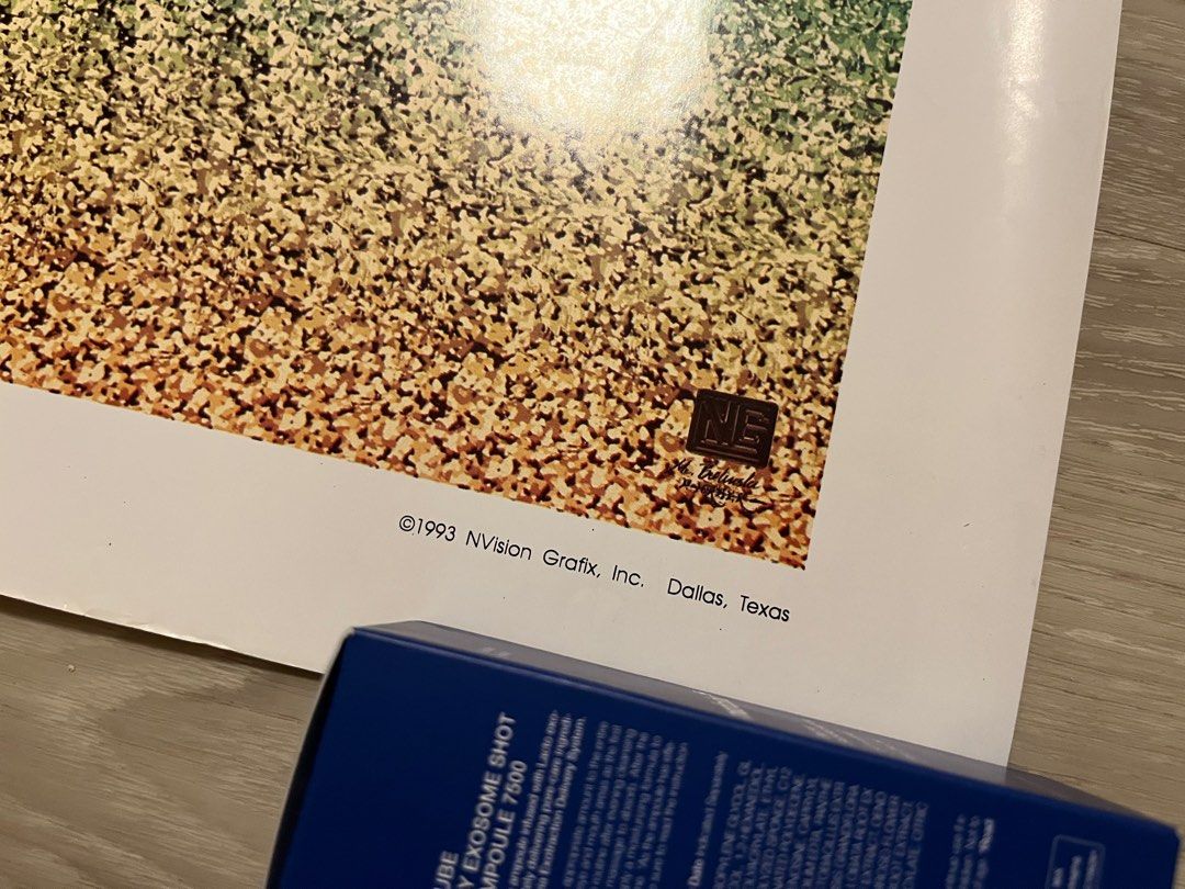 二手 90s Magic Eye Poster Dinosaurs Nvision Grafix 1993 3D 22x28 ...