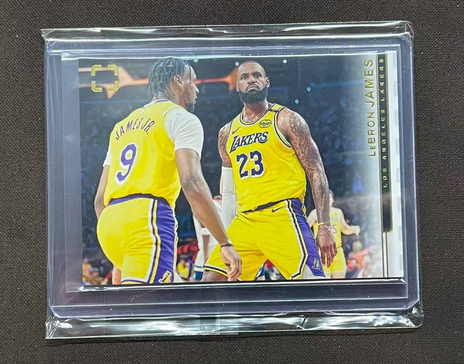 Panini NBA photogenic 2024-2025 LeBron James/Bronny James Jr. card ...