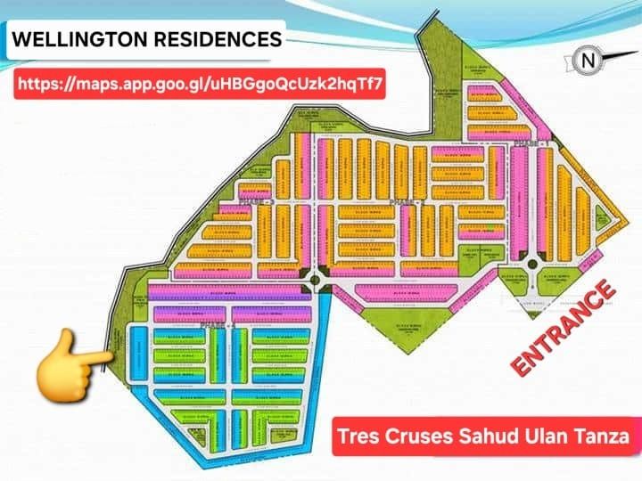 Flood Free 2-Storey House and Lot for Sale Overlooking Green Space at ...