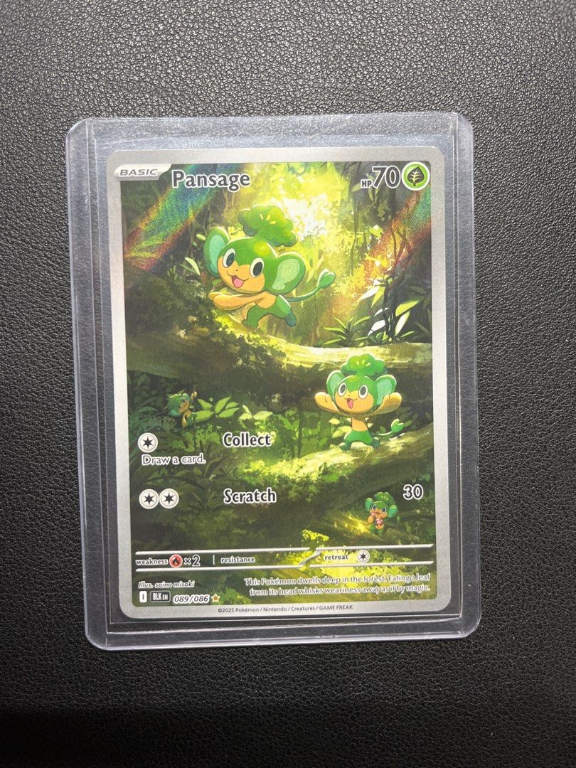 Pokemon Card - Pansage IR - English Black Bolt, Hobbies & Toys, Toys ...