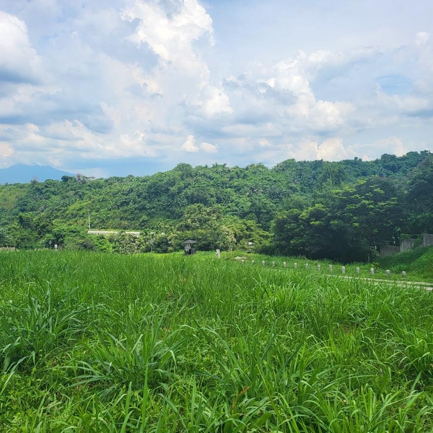 Prime Ridge Lot For Sale In Ayala Westgrove Heghts Overlooking Central ...