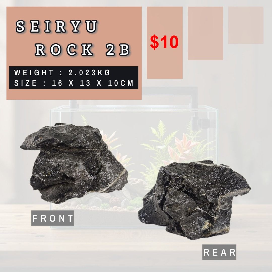 Seiryu Rocks 2a to 2g - for your aquascape, terrarium or paludarium ...