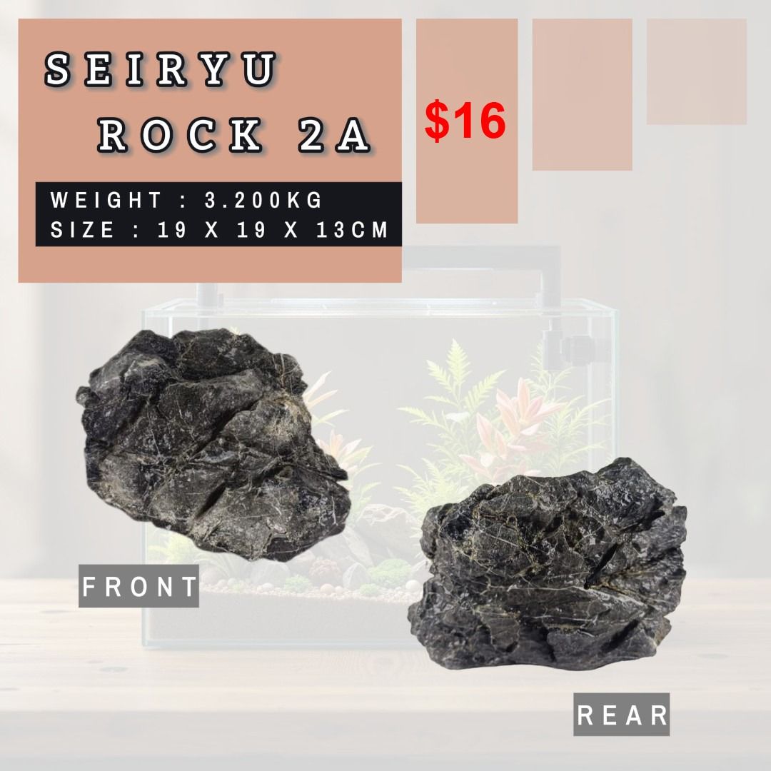Seiryu Rocks 2a to 2g - for your aquascape, terrarium or paludarium ...