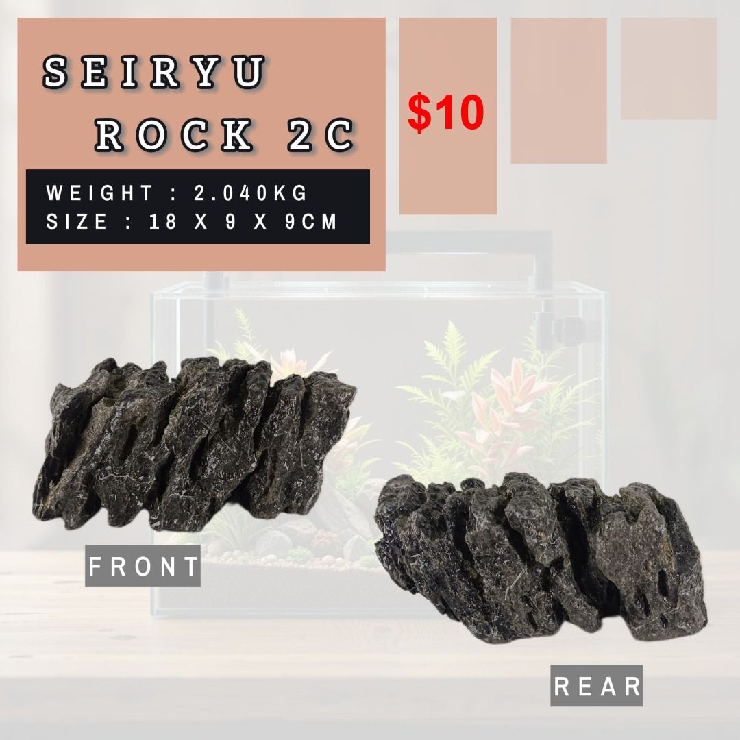 Seiryu Rocks 2a to 2g - for your aquascape, terrarium or paludarium ...