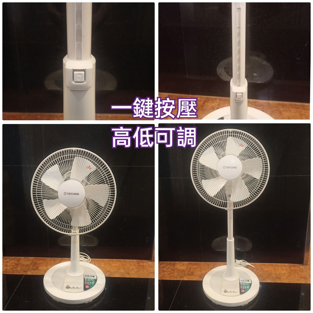 [台北] 大同 12吋 立扇 風扇 電扇 電風扇 TF-L12E, 家具及居家用品, 燈飾及風扇, 風扇在旋轉拍賣