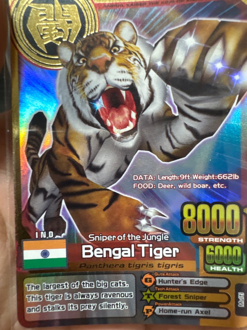 Animal Kaiser Cards - Bengal Tiger, Lion, Red Scorpion, Hobbies & Toys ...