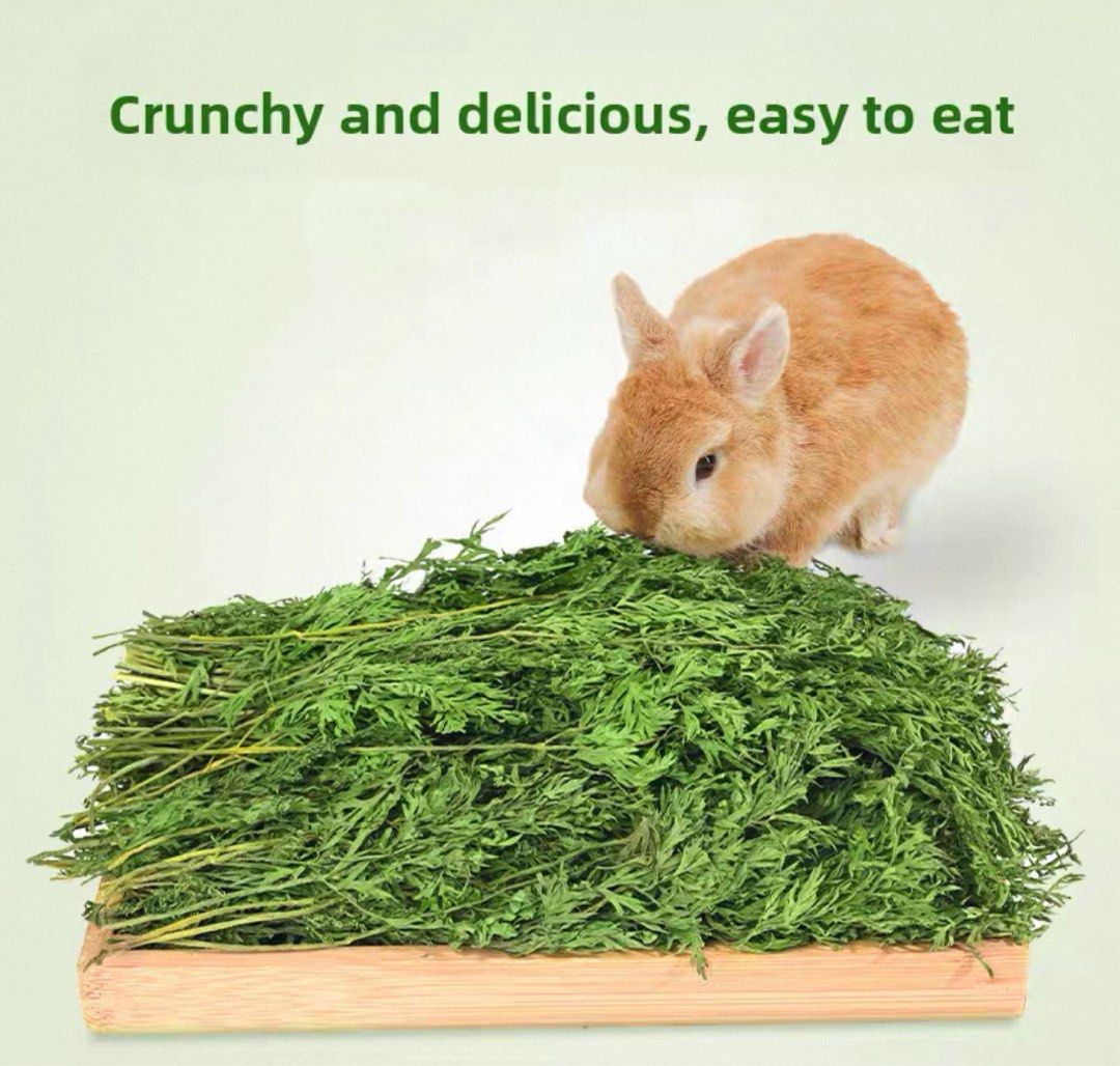 Dried Carrots, Rabbit Hay, Chinchilla and Guinea Pig Forage, Dried ...