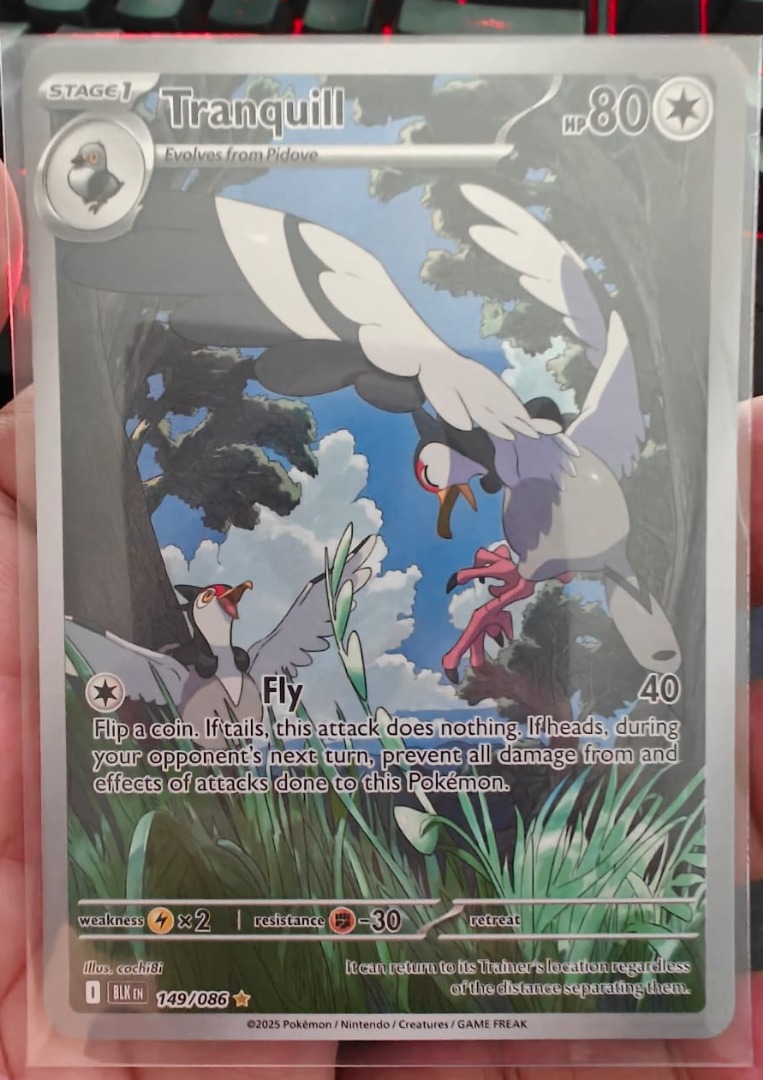 Tranquill #149 Pokemon Black Bolt, Hobbies & Toys, Toys & Games on ...