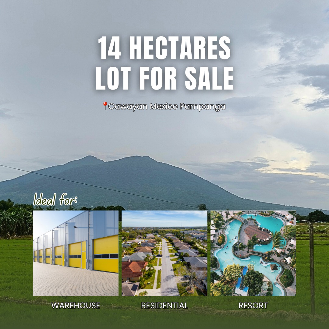 14 Hectares Farm Lot for Sale in Cawayan Mexico Pampanga, Property, For ...