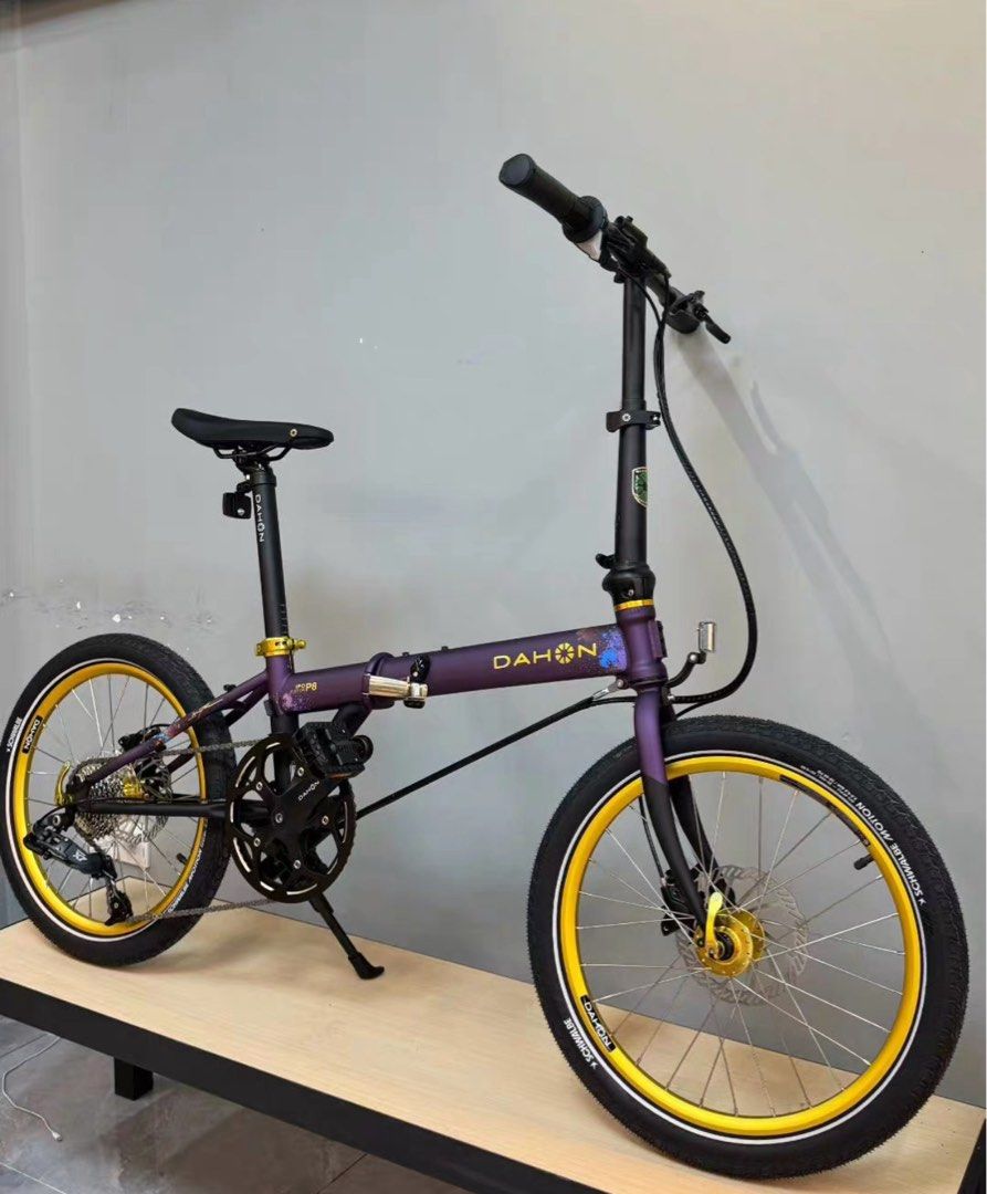 2025 DAHON 大行 P8(KBC083) 紀念限量款 20吋鉻鉬鋼折叠車 送水架前後蛙燈叮叮, 運動產品, 單車及配件, 單車 - Carousell