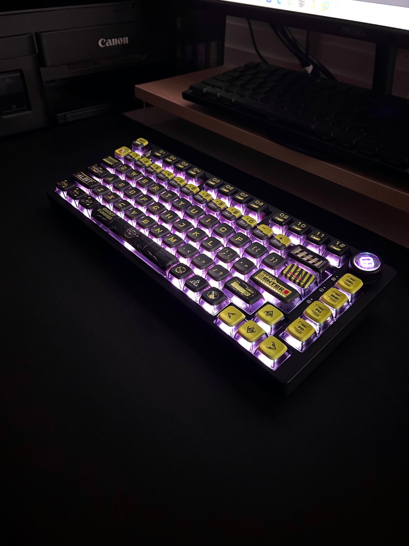 75% Full Aluminium Custom Keyboard (PBT Ghost Runner keycaps ...