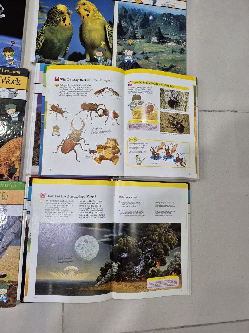 A Child's First Library of Learning - Educational Books, Hobbies & Toys ...