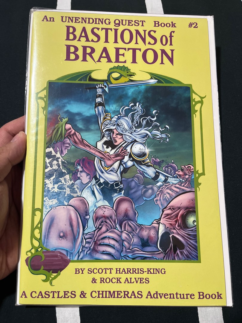 Bastions of Braeton Adventure Book #2, Hobbies & Toys, Books ...