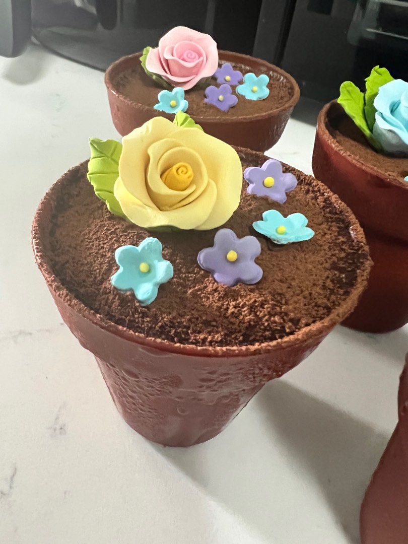 Halal Flower Pot Tiramisu - Delicious and Beautiful!, Food & Drinks ...