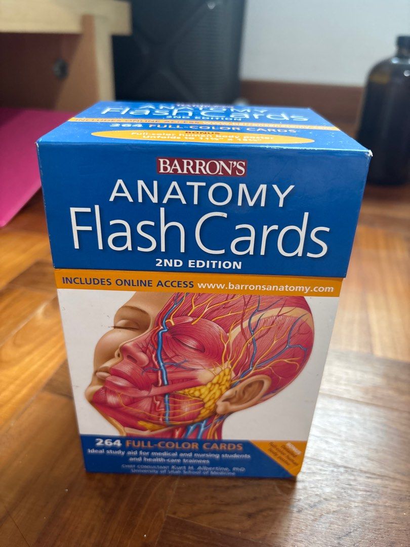 Barron's Anatomy Flash Cards - 2nd Edition, Hobbies & Toys, Books ...