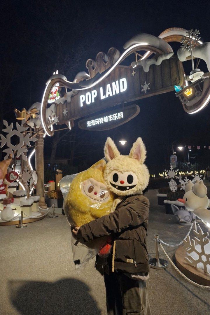 Official POP MART Labubu Fried Shrimp Pillow, won directly from POP ...