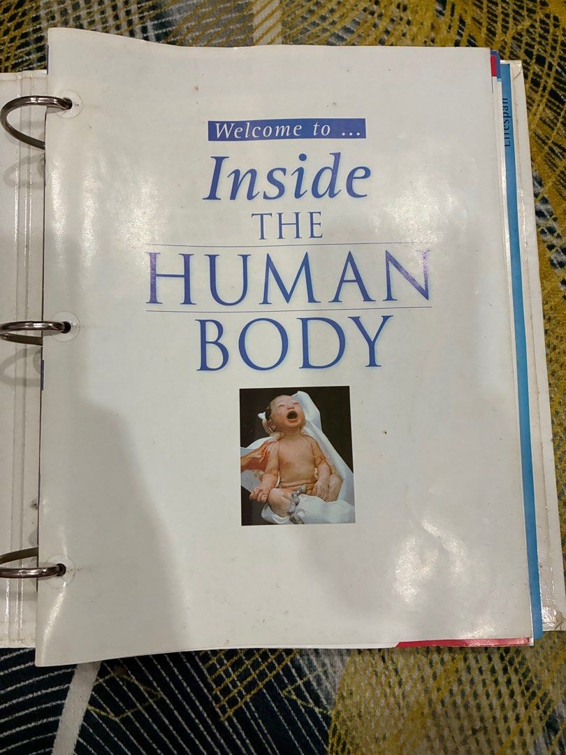 Inside the Human Body Book - 60 Parts, Hobbies & Toys, Books ...