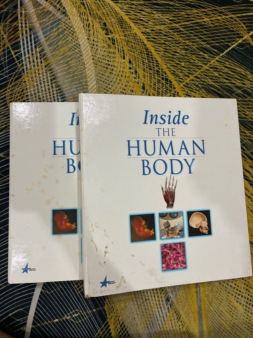Inside the Human Body Book - 60 Parts, Hobbies & Toys, Books ...