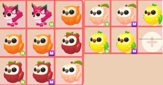 Adopt Me Clementine Owl, Video Gaming, Gaming Accessories, In-Game ...