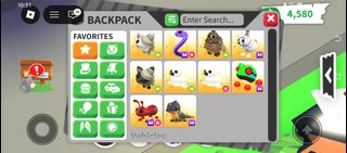 Adopt Me! Roblox Pet For Sale! SPECIAL NEW YEAR'S OFFER !!, Video ...