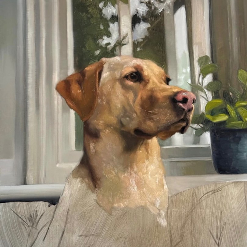 Custom Pet Portrait Oil Painting, Hobbies & Toys, Art & Prints on Carousell