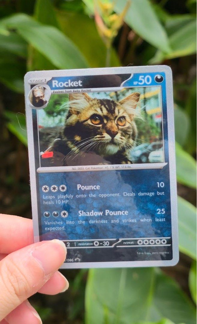 CUSTOM PETS POKEMON CARDS | PERFECT FOR PET OWNERS, Hobbies & Toys ...