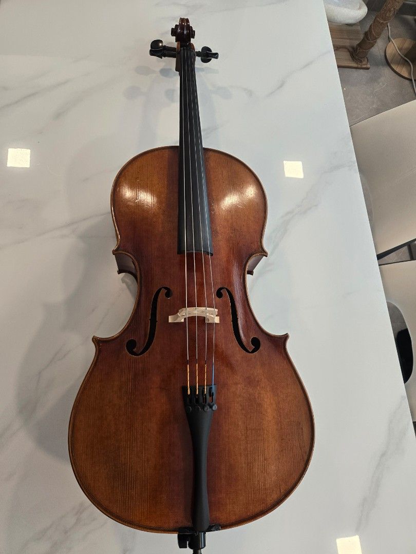 3/4 synwin cello svc437001, Hobbies & Toys, Musical Instruments on ...