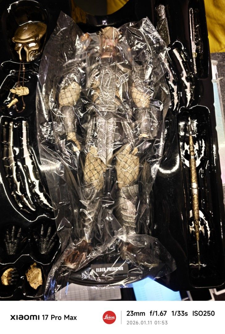 KO version AVP Elder Predator 1/6 Scale Collectible Figure, Hobbies ...