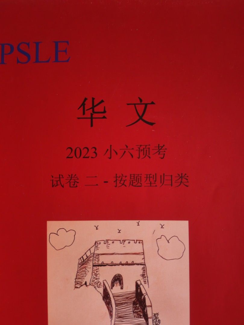 PSLE Science, Chinese, Math, English Exam Papers, Hobbies & Toys, Books ...