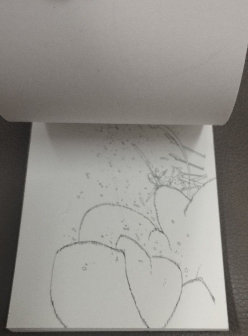 Puella Magi Madoka Magica Key Animation Note Vol. 3 Flip Book-Memo ...