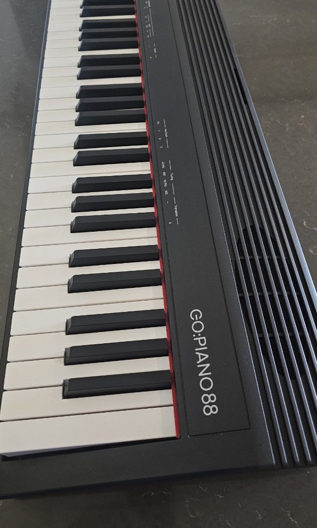 Roland Keyboard / Piano Go 88, Hobbies & Toys, Musical Instruments on ...