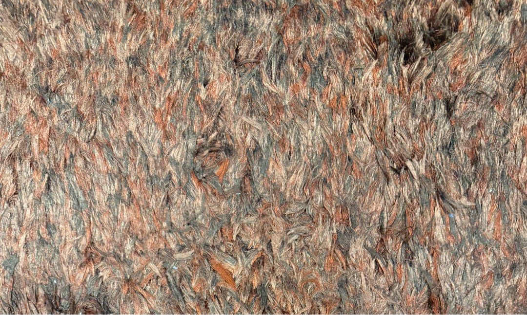 Shaggy Textured Rug - Earth Tones, Furniture & Home Living, Home Decor ...