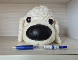 Soft Plush Dog Toy from miniso, Hobbies & Toys, Toys & Games on Carousell