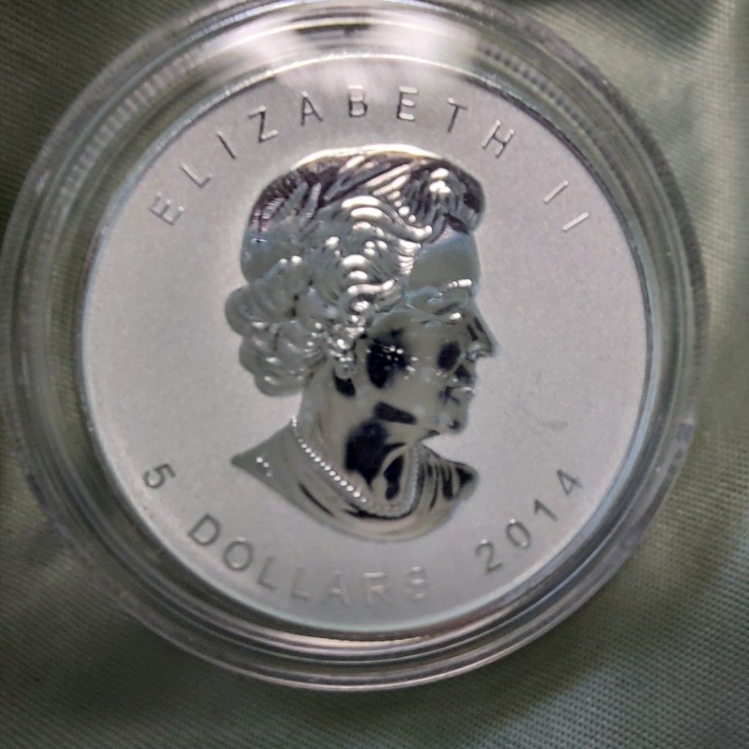 2014 Horse Privy Maple Leaf Coin, Hobbies & Toys, Memorabilia ...