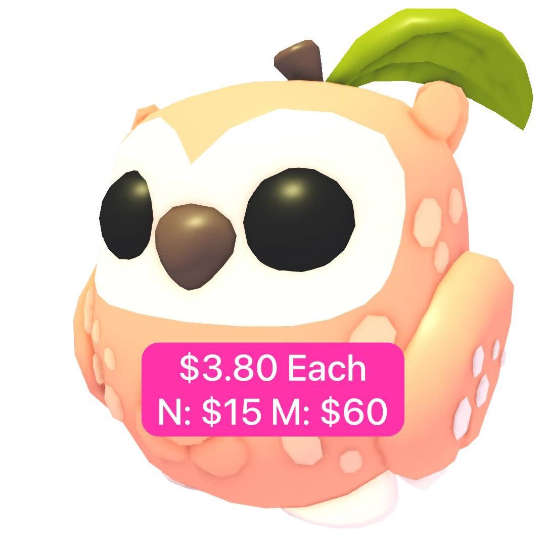 Adopt Me Clementine Owl, Video Gaming, Gaming Accessories, In-Game ...