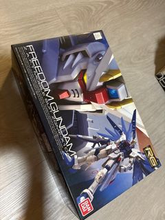 Non - Bandai Gundam Seed Destiny RG Strike Freedom Display Stand ...