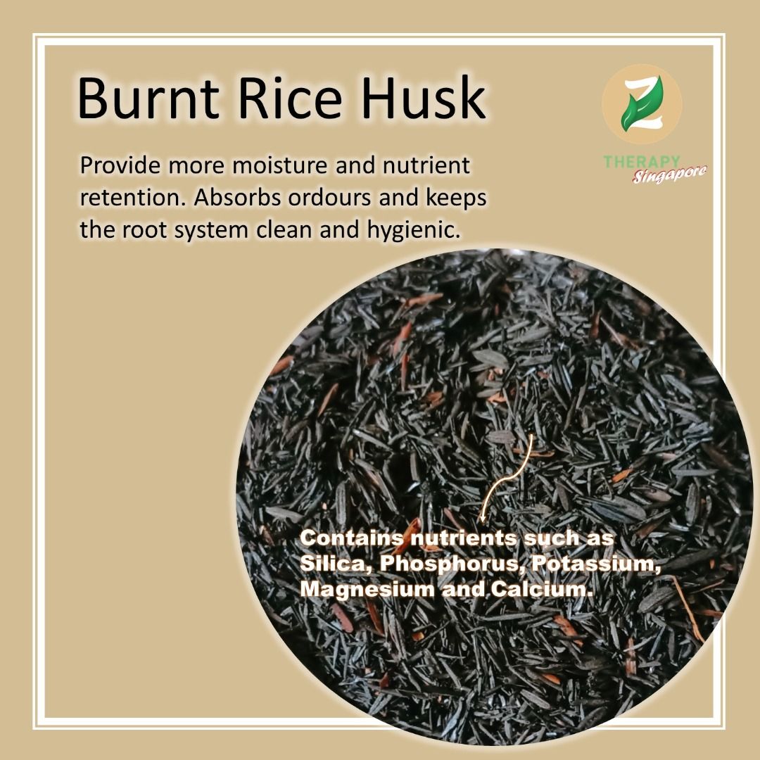Burnt Rice Husk (8 litre), Furniture & Home Living, Gardening, Garden ...
