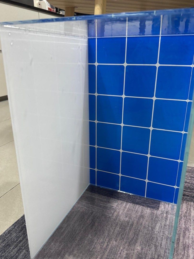 Custom Glass Aquarium Tank, Pet Supplies, Homes & Other Pet Accessories ...