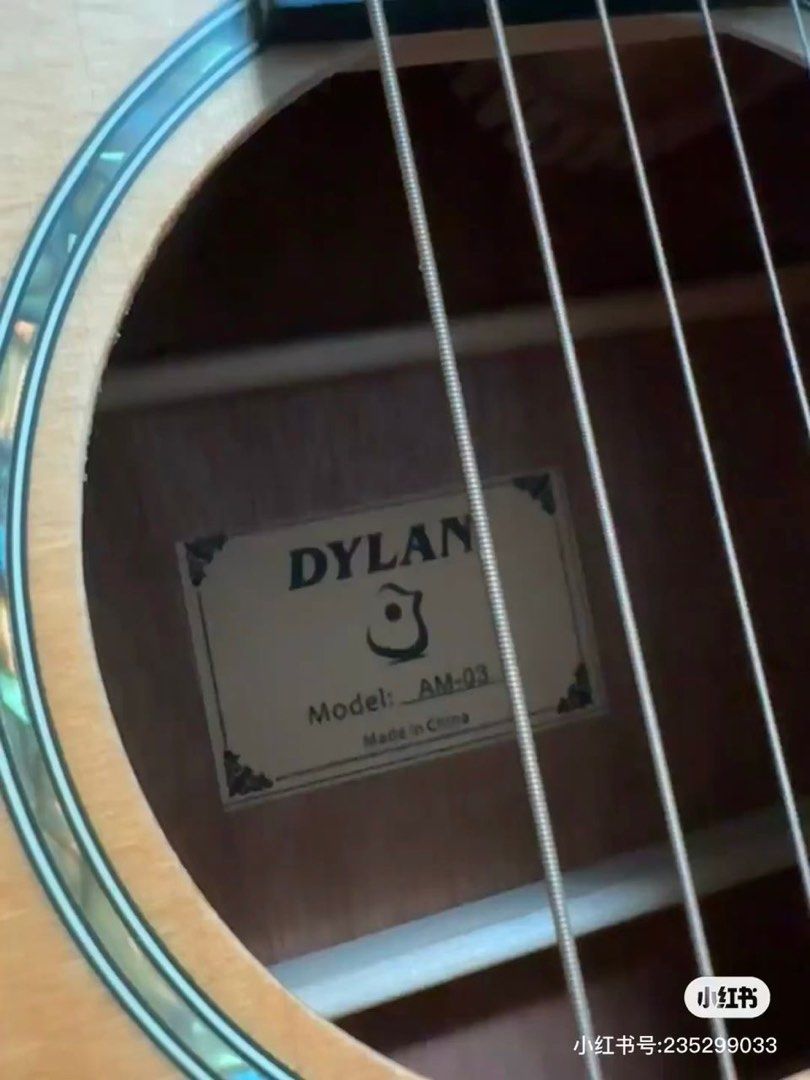 Dylan AM-03 Acoustic Guitar with Fishman Preamp, Hobbies & Toys, Music ...