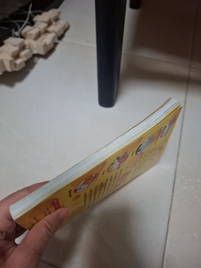 Geronimo Stilton Christmas Catastrophe Special Edition, Hobbies & Toys ...