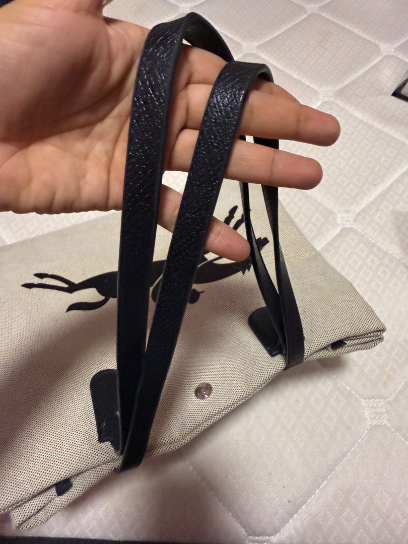 Longchamp Paris Tote Bag, Women's Fashion, Bags & Wallets, Tote Bags on ...