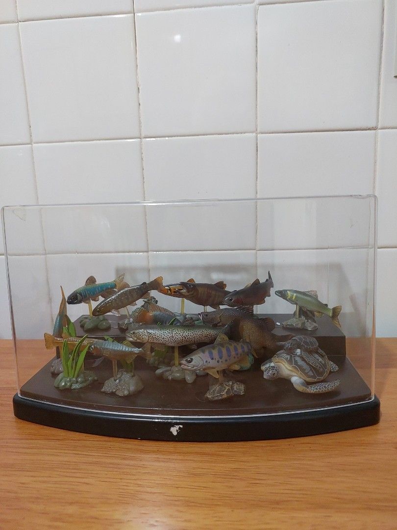 14 Miniature Fish/Turtle Tank Diorama, Hobbies & Toys, Toys & Games on ...