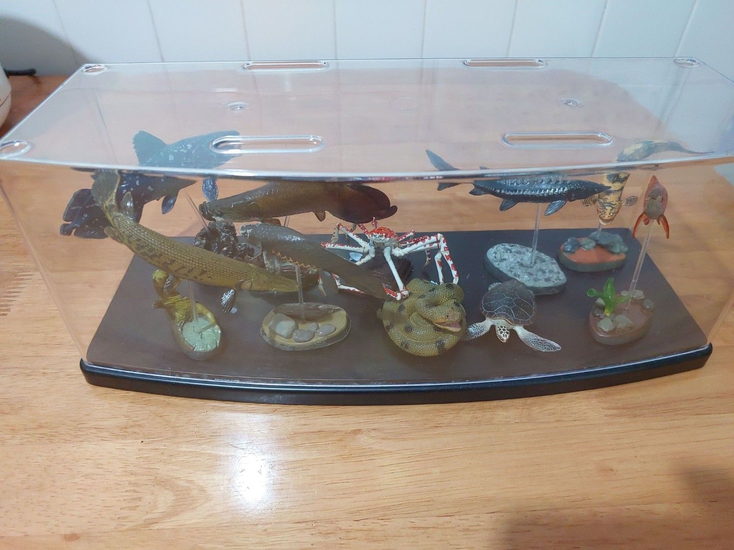 10 Prehistoric Creatures Diorama Display, Hobbies & Toys, Toys & Games ...