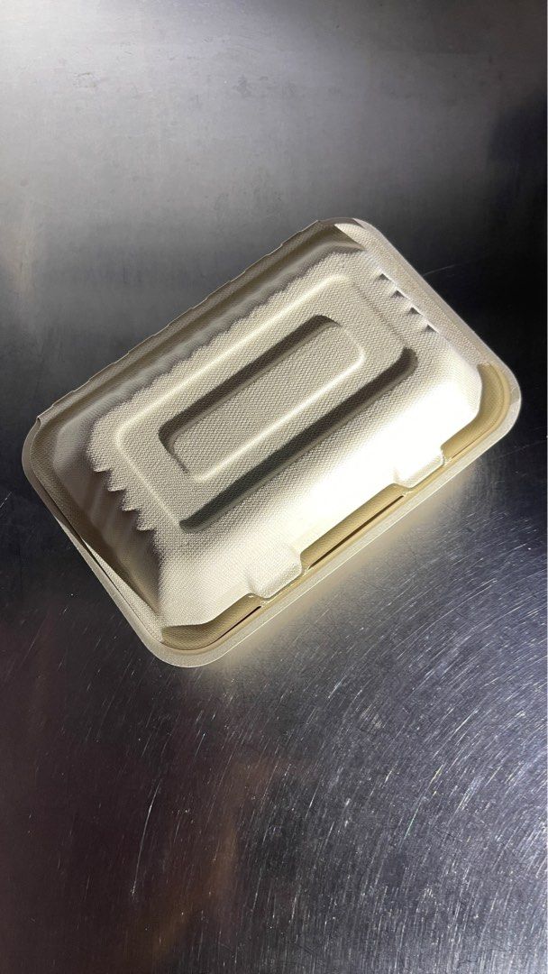 Premium Sugar Cane Pulp Rectangle Box 50/pack, Food & Drinks, Other ...