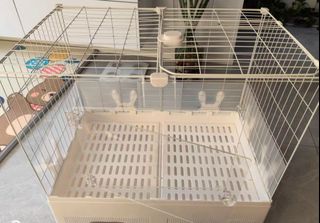 Timothy hay second 2nd cut (for hamster, rabbit, chinchilla, Guinea pig ...
