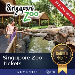 Singapore Mandai Zoo - 2 Tickets on 17th Jan 2026, Tickets & Vouchers ...